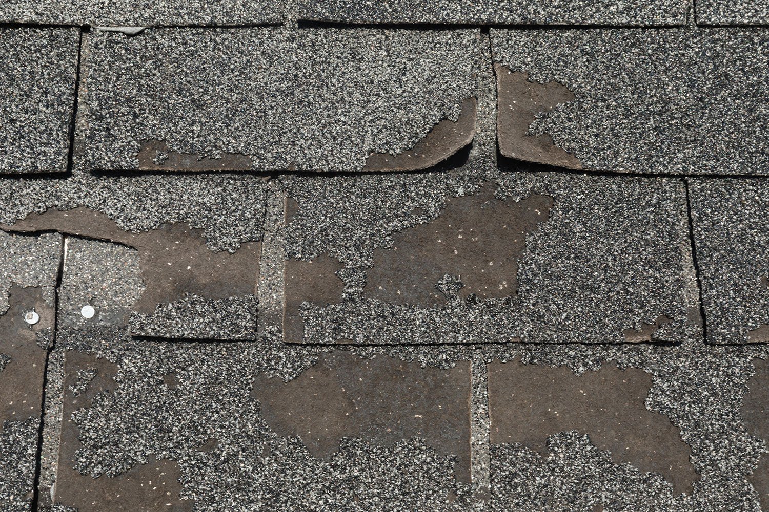 Is Your Roof Decking Bad? Signs to Look For
