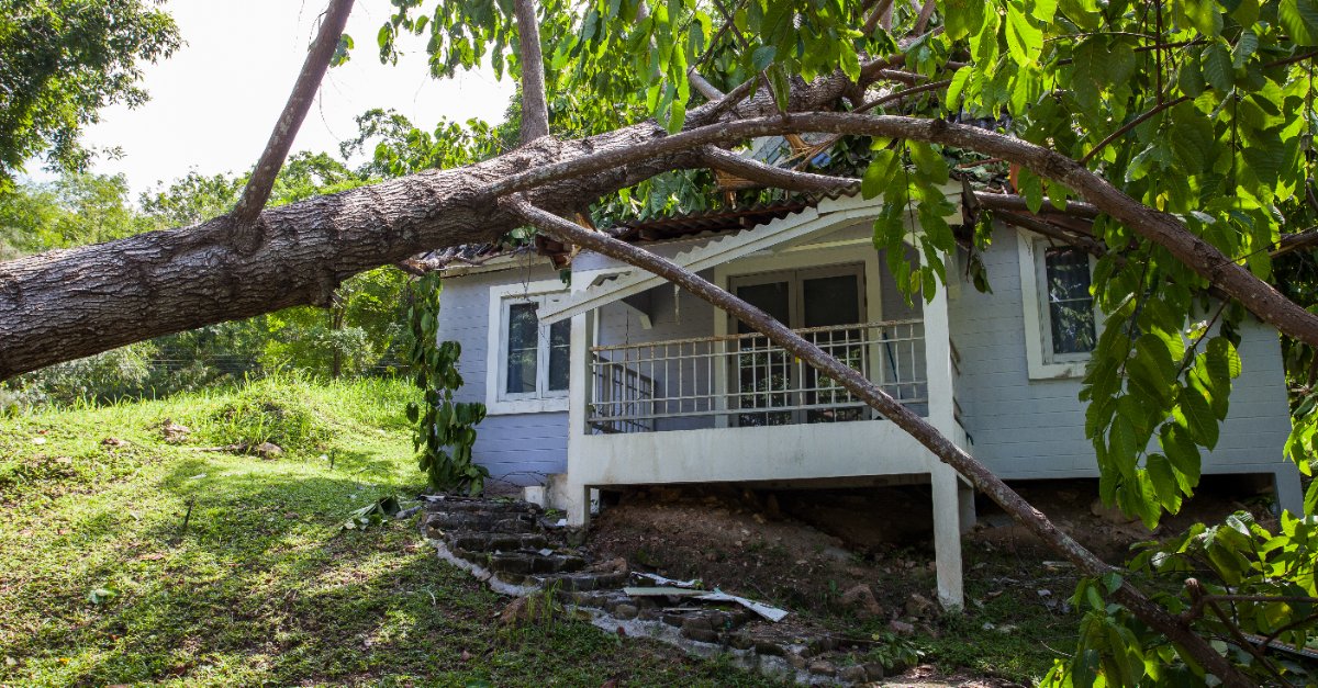 How to Prepare Your Roof for High Winds